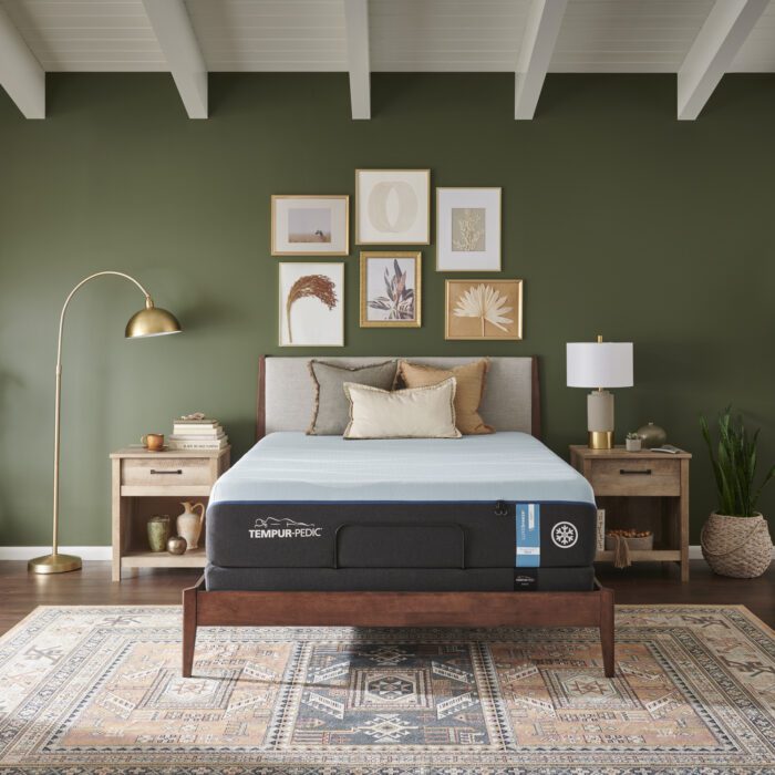 Tempur-Pedic Mattress - Sleep City